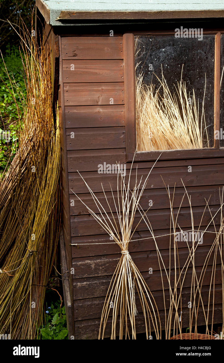 Scales, spring, material, grass Stock Photo - Alamy