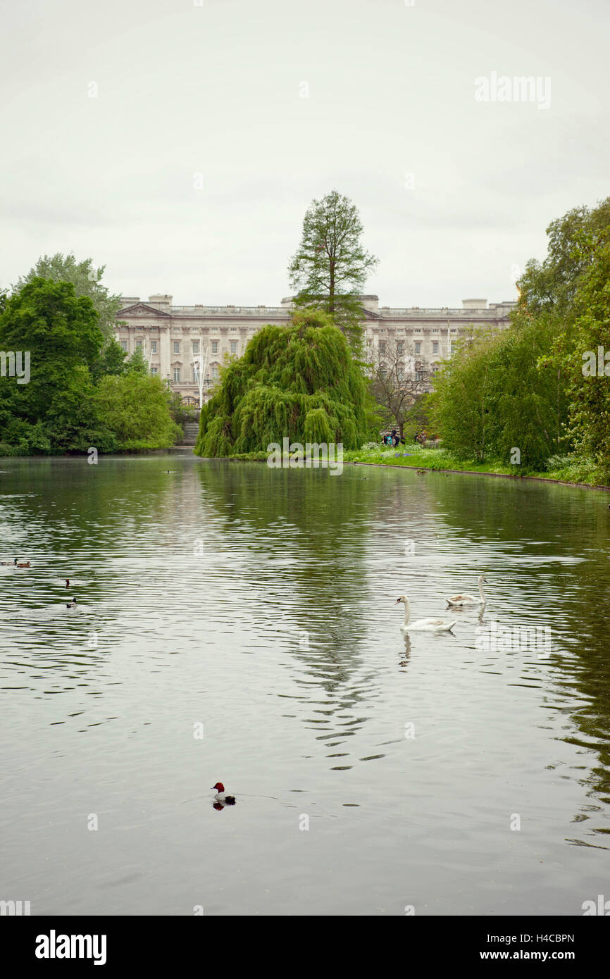 Park, Buckingham Palace, trees, St. James park Stock Photo - Alamy