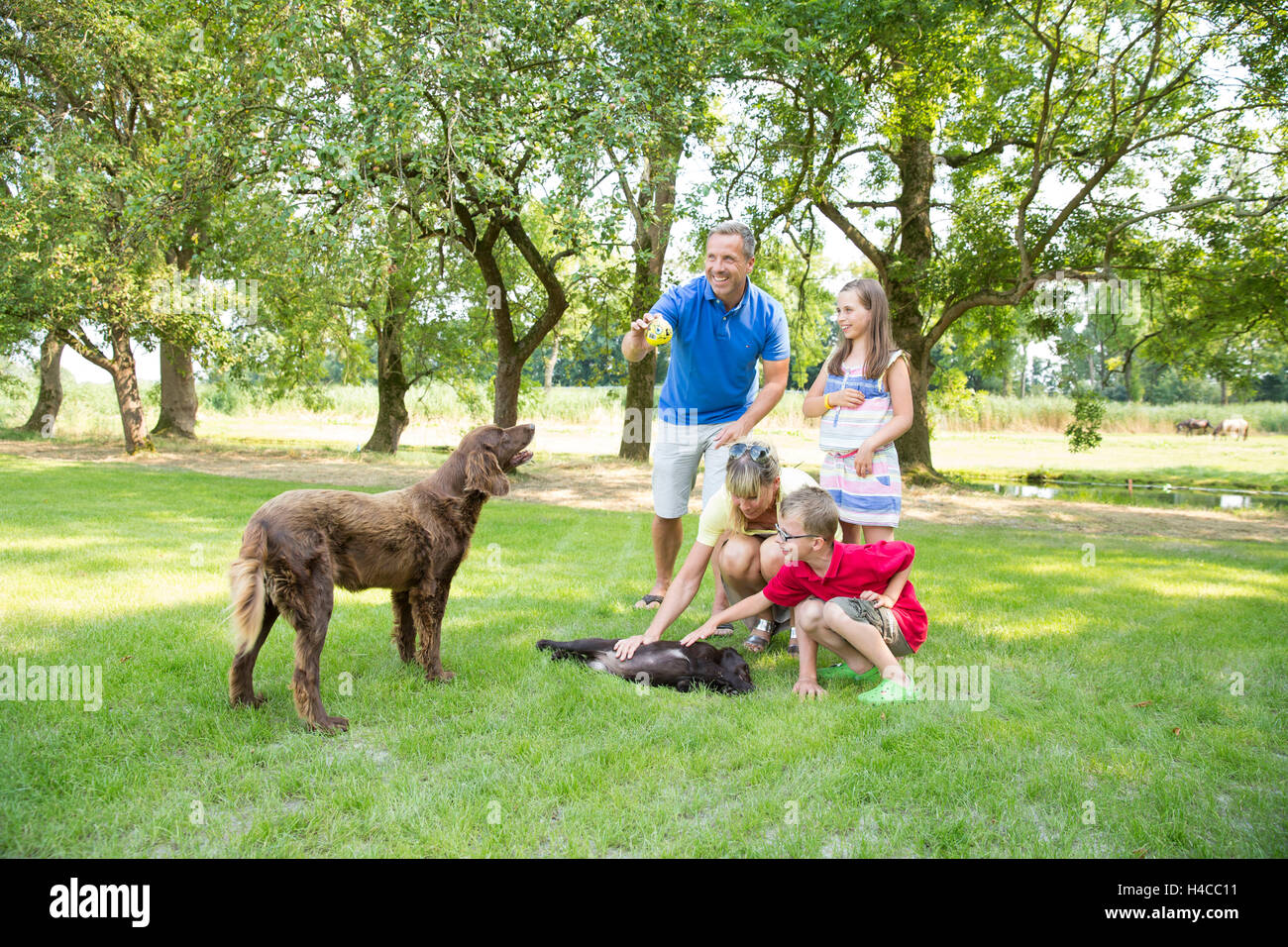 Family plays with two dogs Stock Photo - Alamy