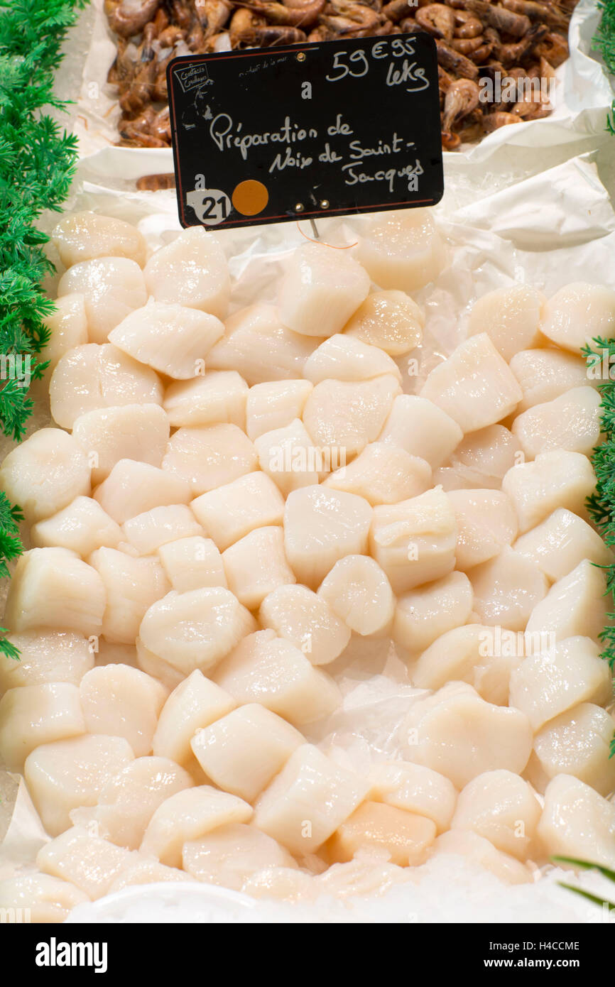 Scallop shells, mead cerium covered market, Metz, Département Moselle ...