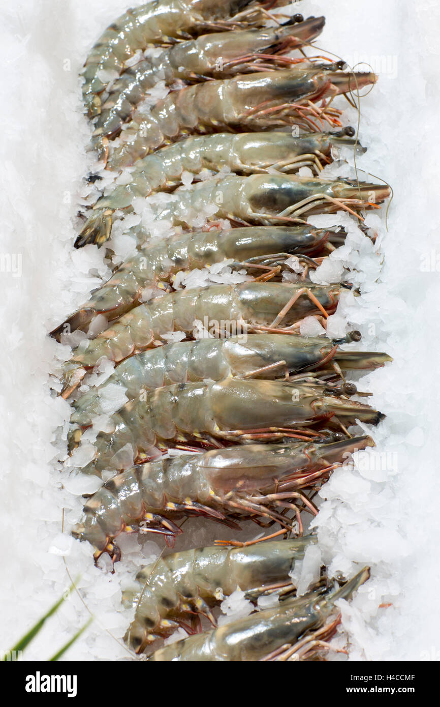 Shrimp, Crevettes, Crevetten, mead cerium covered market, Metz ...