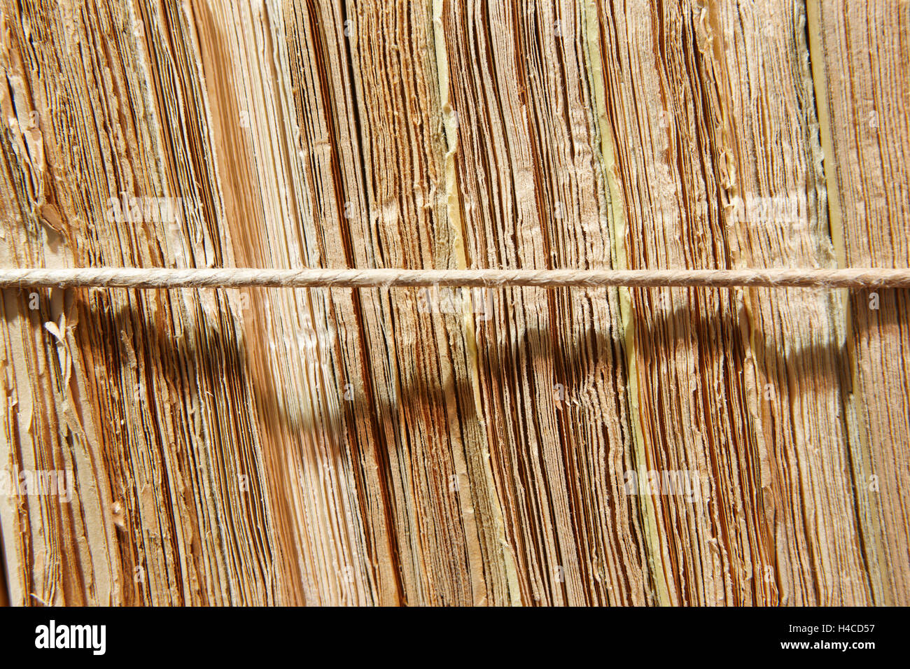 Antique documents wrapped with a string in warm tone. Horizontal Stock ...