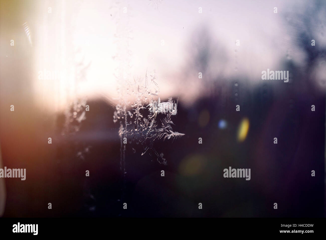 Frost flowers at the window Stock Photo - Alamy