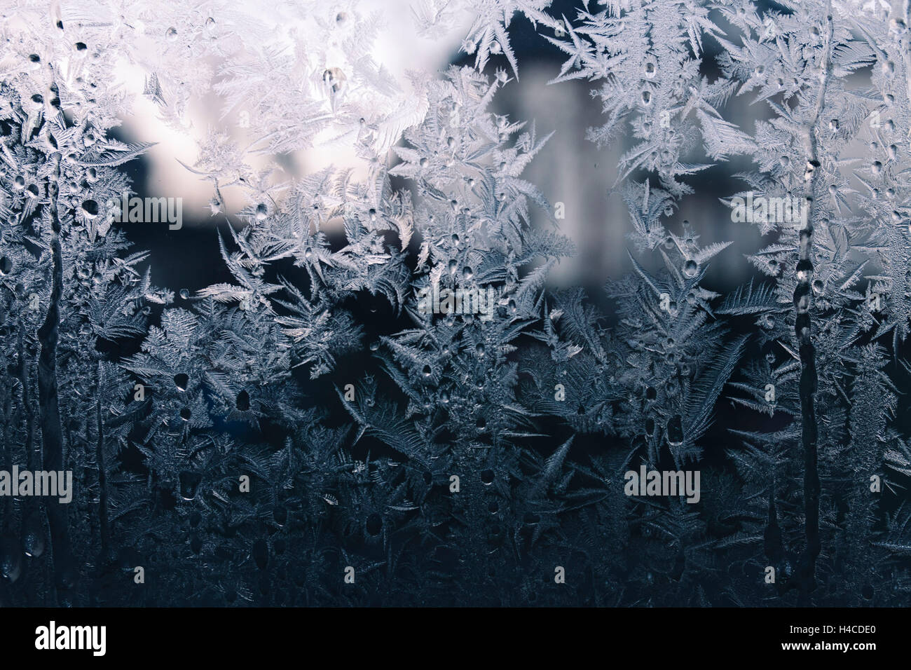 Frost flowers at the window Stock Photo - Alamy