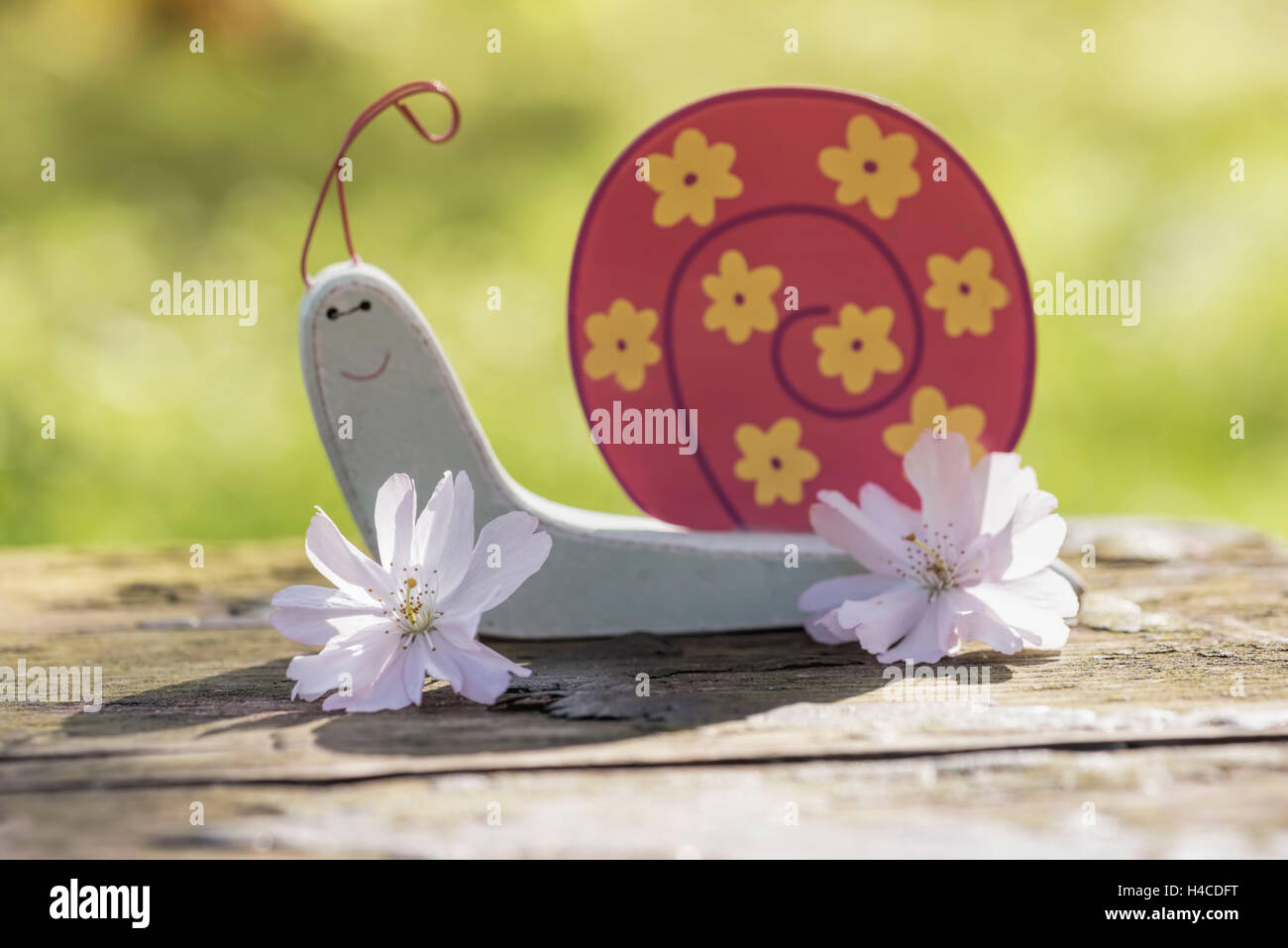 Photography in the back light. Small escargot of woodwork with pink ...