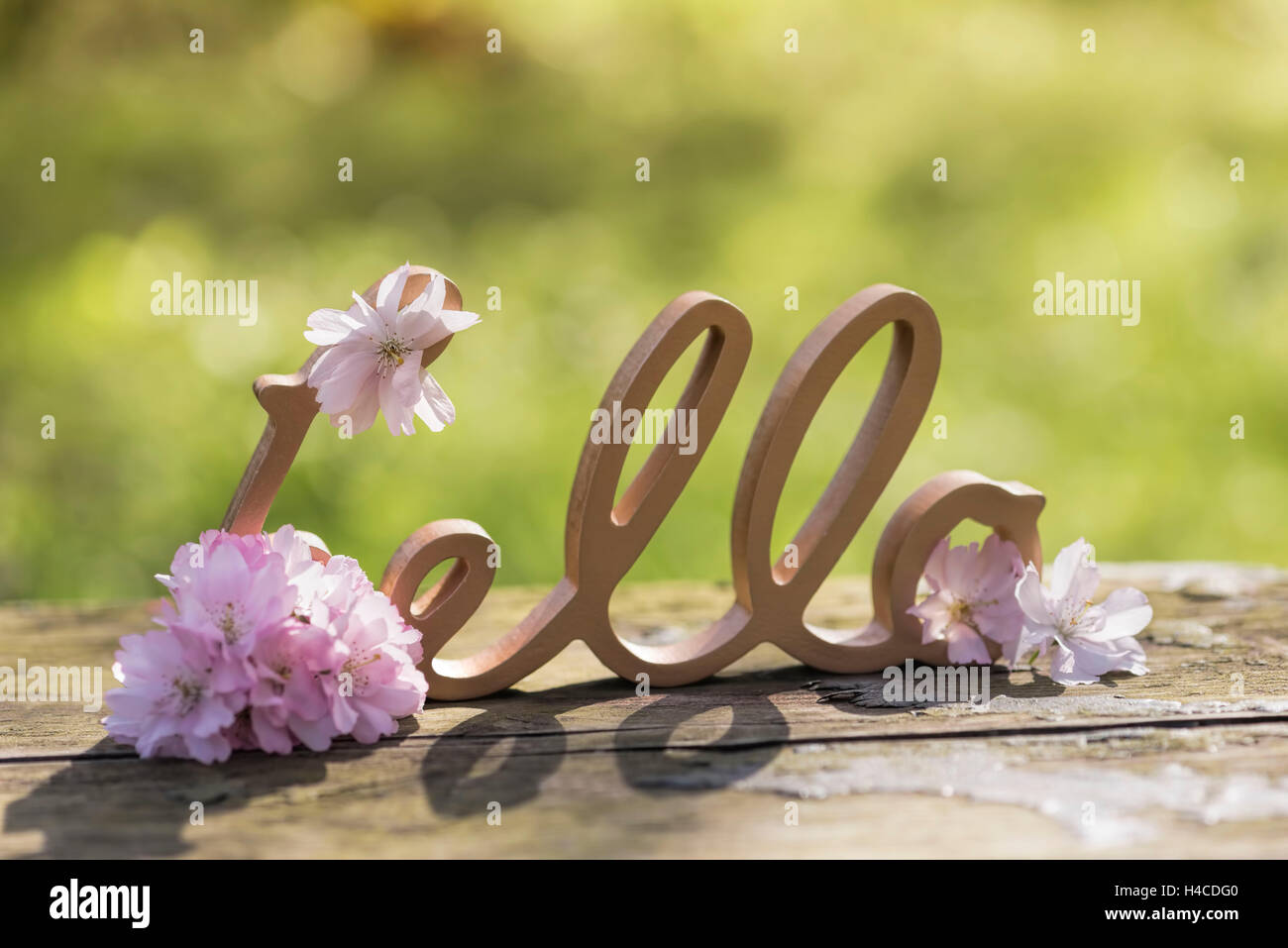 Letters in plants hi-res stock photography and images - Alamy