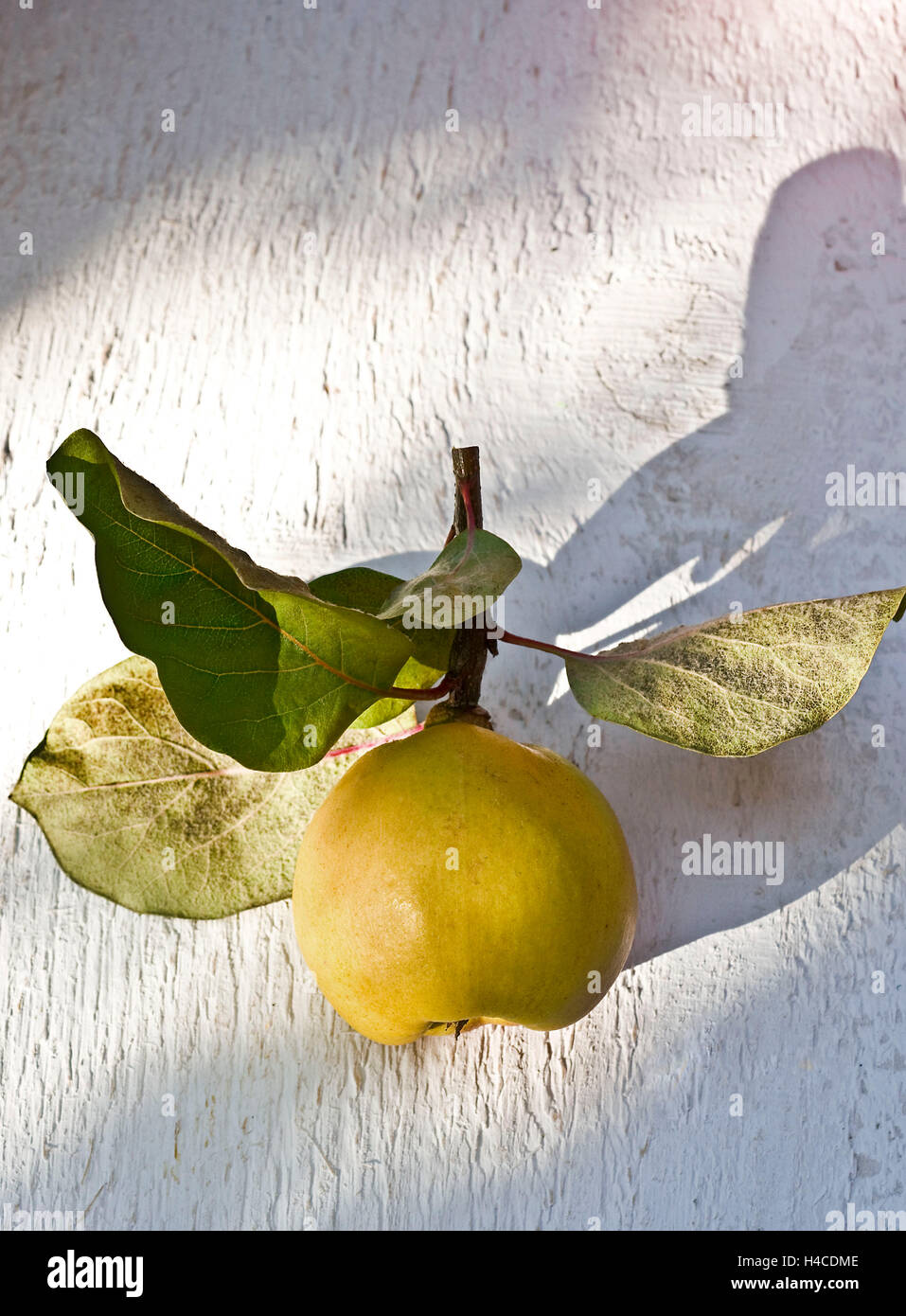 Quince on white wooden table Stock Photo - Alamy