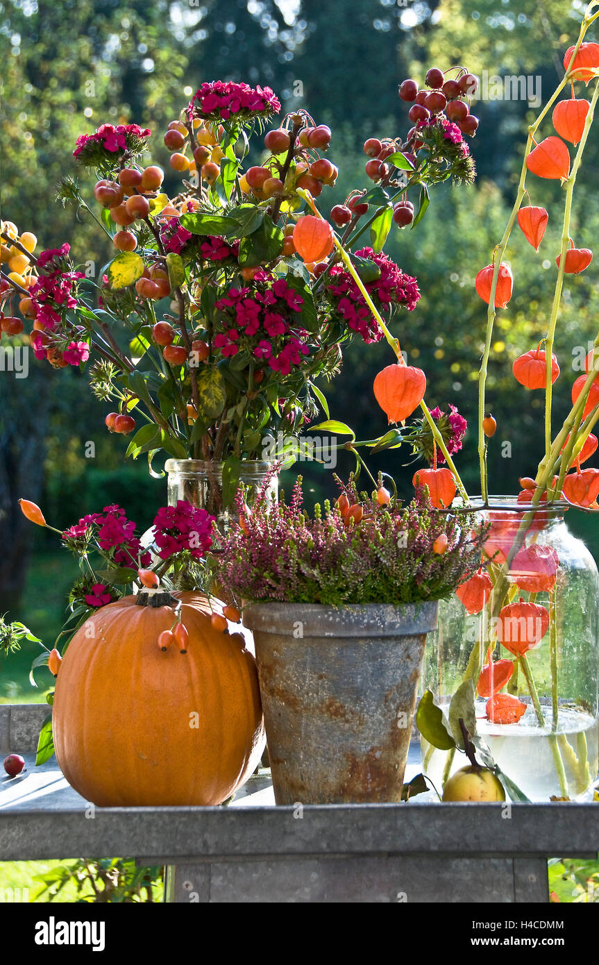 Cornett tablet hi-res stock photography and images - Alamy