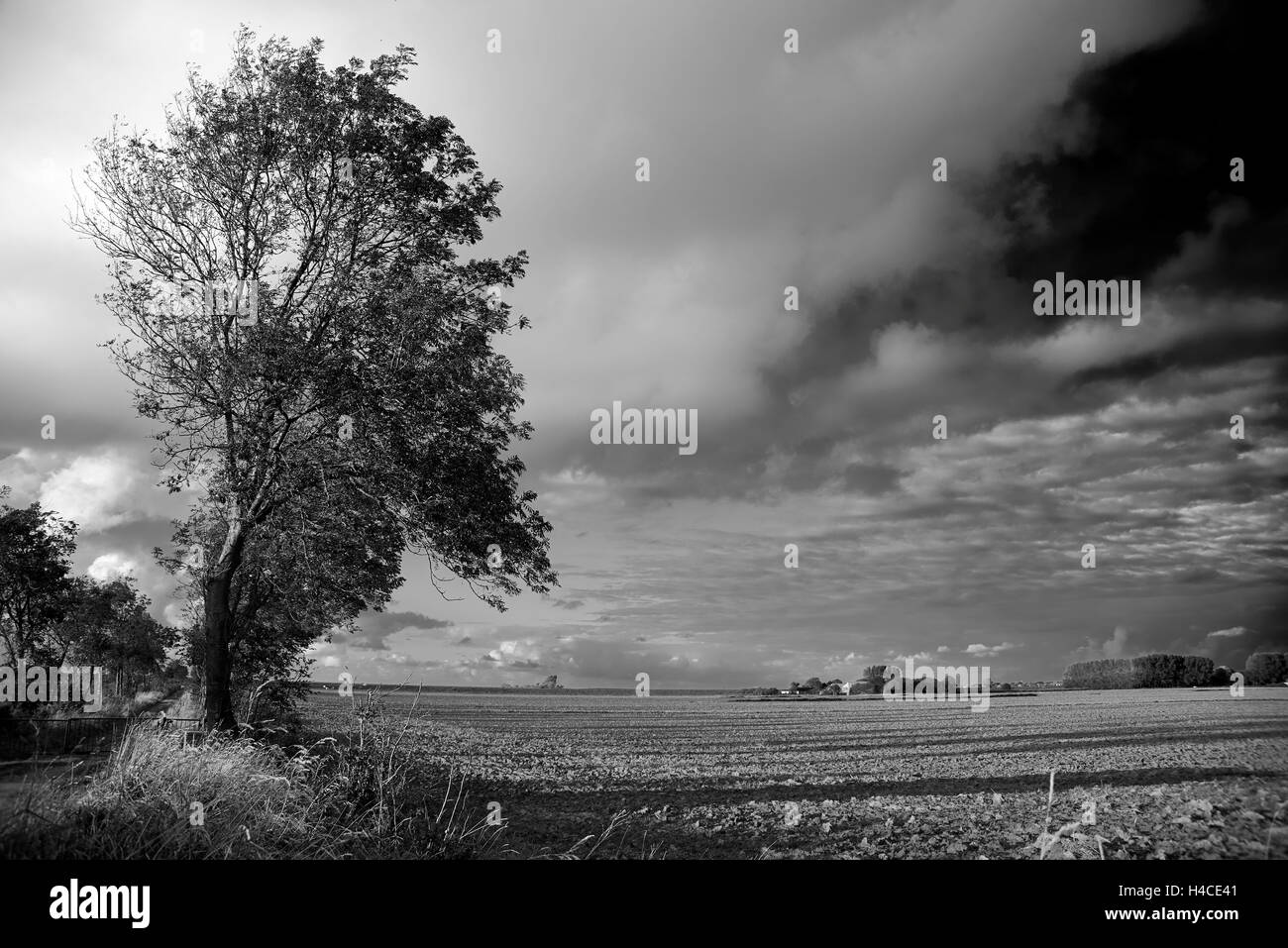 Dodger lane hi-res stock photography and images - Alamy