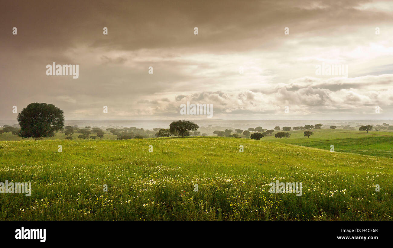 Green spring-hill scenery in the hinterland Portugal, Spanish margin ...
