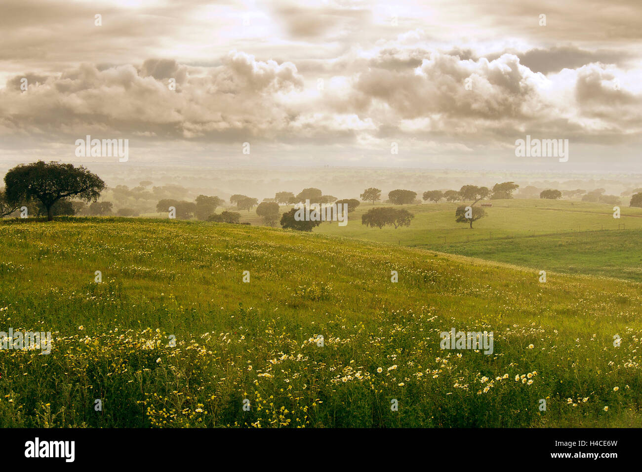 Green spring-hill scenery in the hinterland Portugal, Spanish margin ...