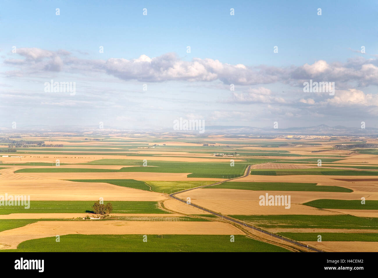 Agriculture Field in Seville, Andalusia, Spain Stock Photo - Alamy