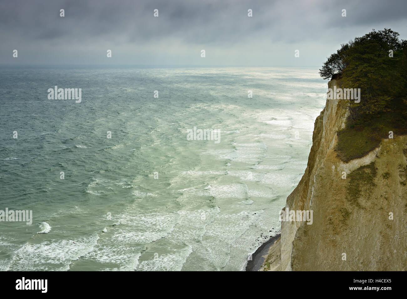 Denmark, island M°n, The chalk rocks of M°ns Klint at sorm and rain ...