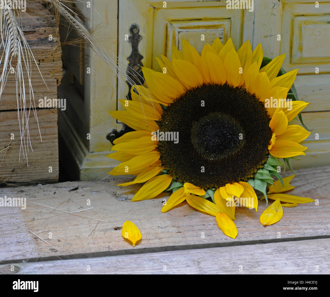Blumendeko country house hi-res stock photography and images - Alamy