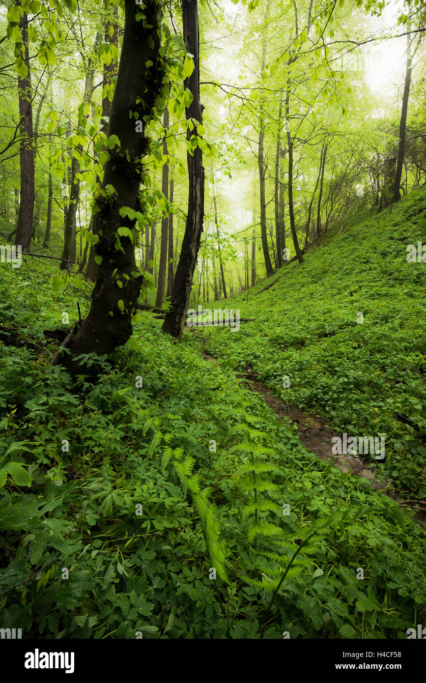 Bavaria spring hi-res stock photography and images - Alamy