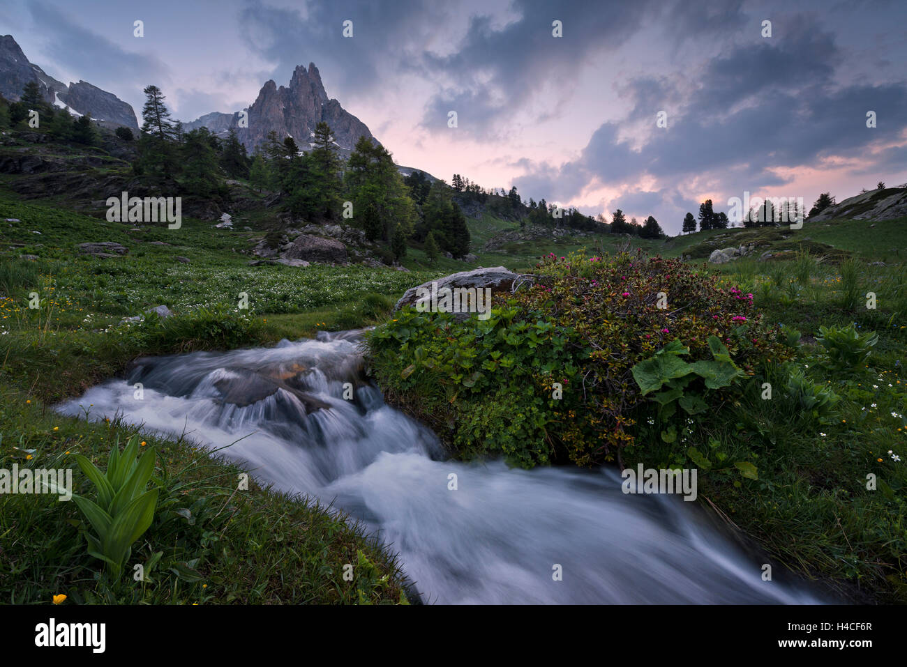France, Alps, mountains, Vallée de la Clarée, meadow, spring, idyllic ...