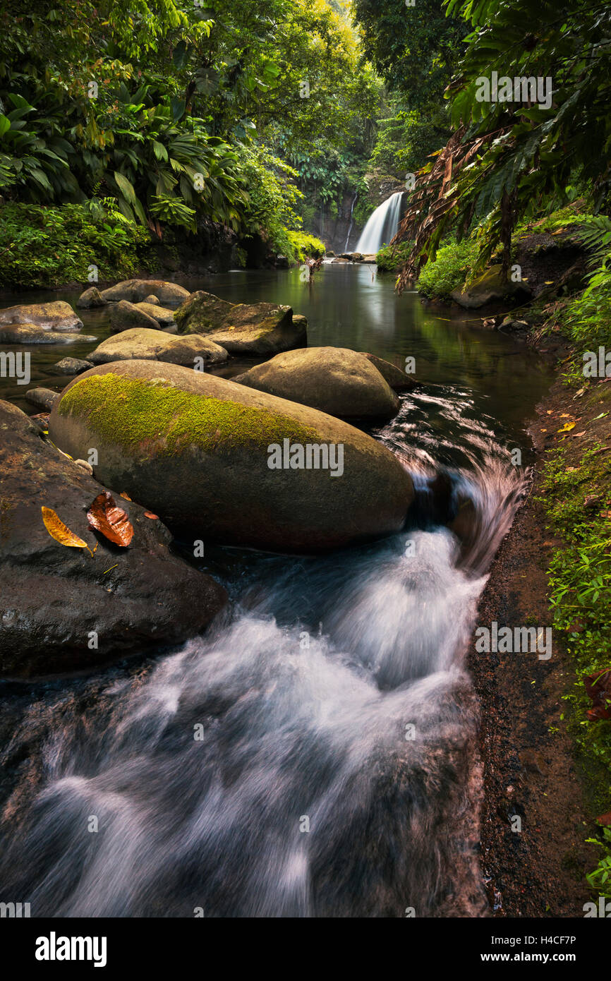 Guadeloupe, France, the Caribbean, island, rainforest, waterfall ...