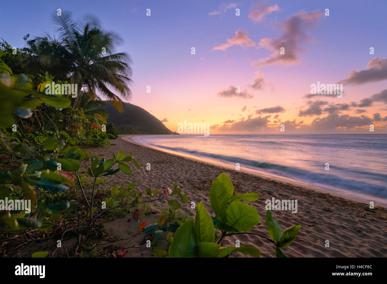 Guadeloupe, the Caribbean, France, island, tropical, paradise, palms ...