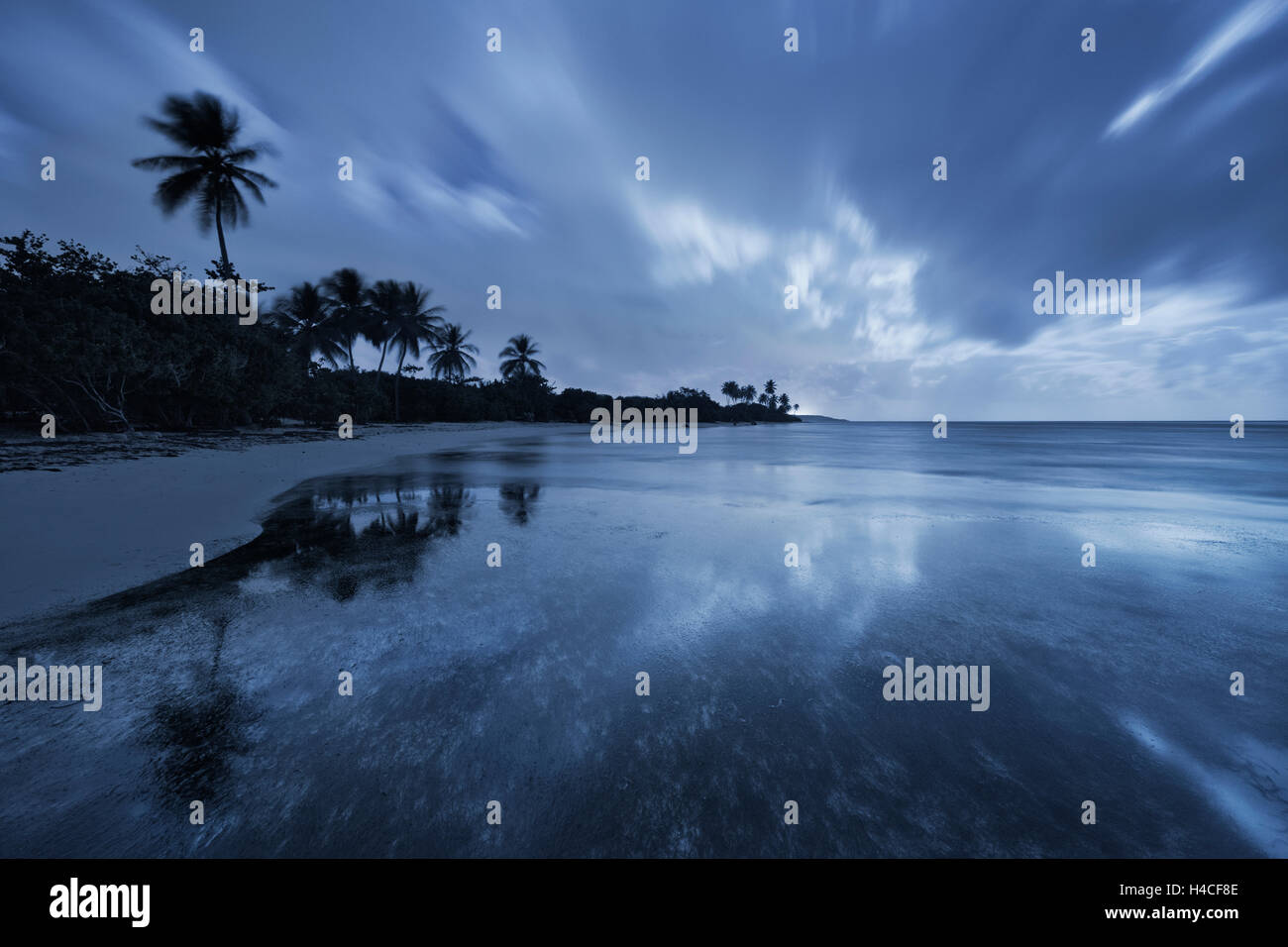 Tropical Paradise At Night