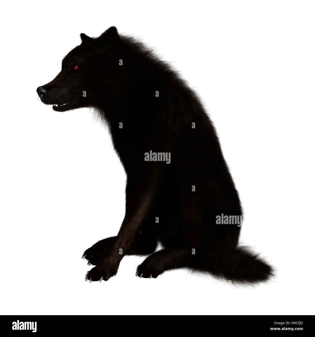 3D rendering of a black wolf isolated on white background Stock Photo ...