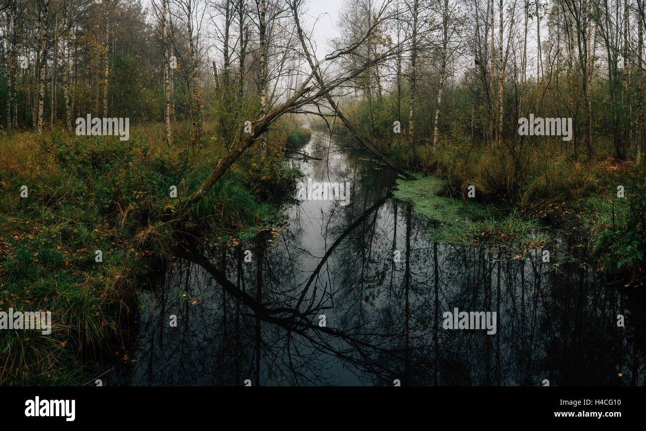 Panorama small forest stream black hi-res stock photography and images ...