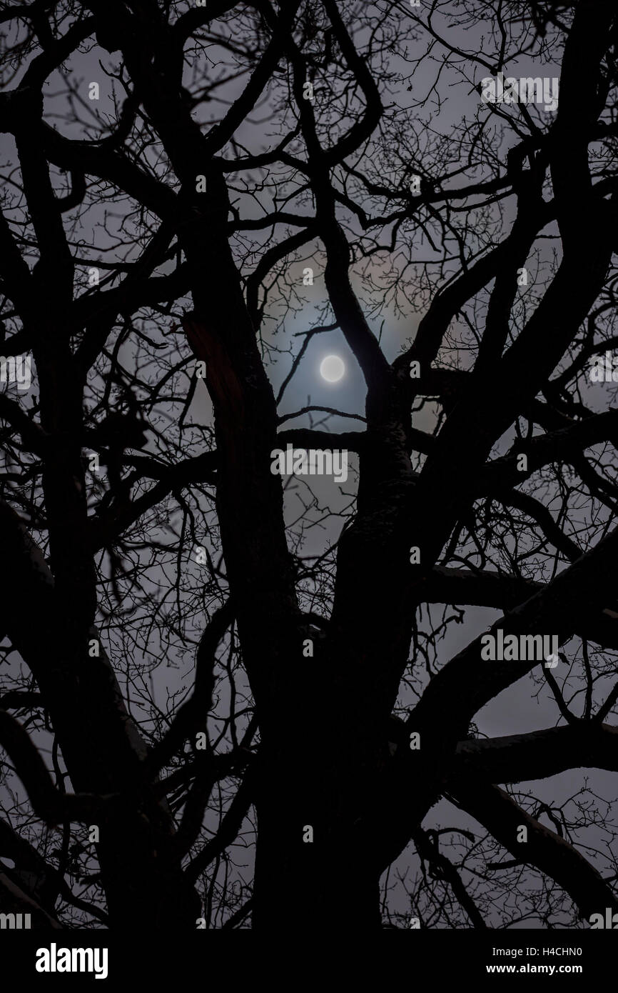 image series of a full moon night in November Stock Photo - Alamy