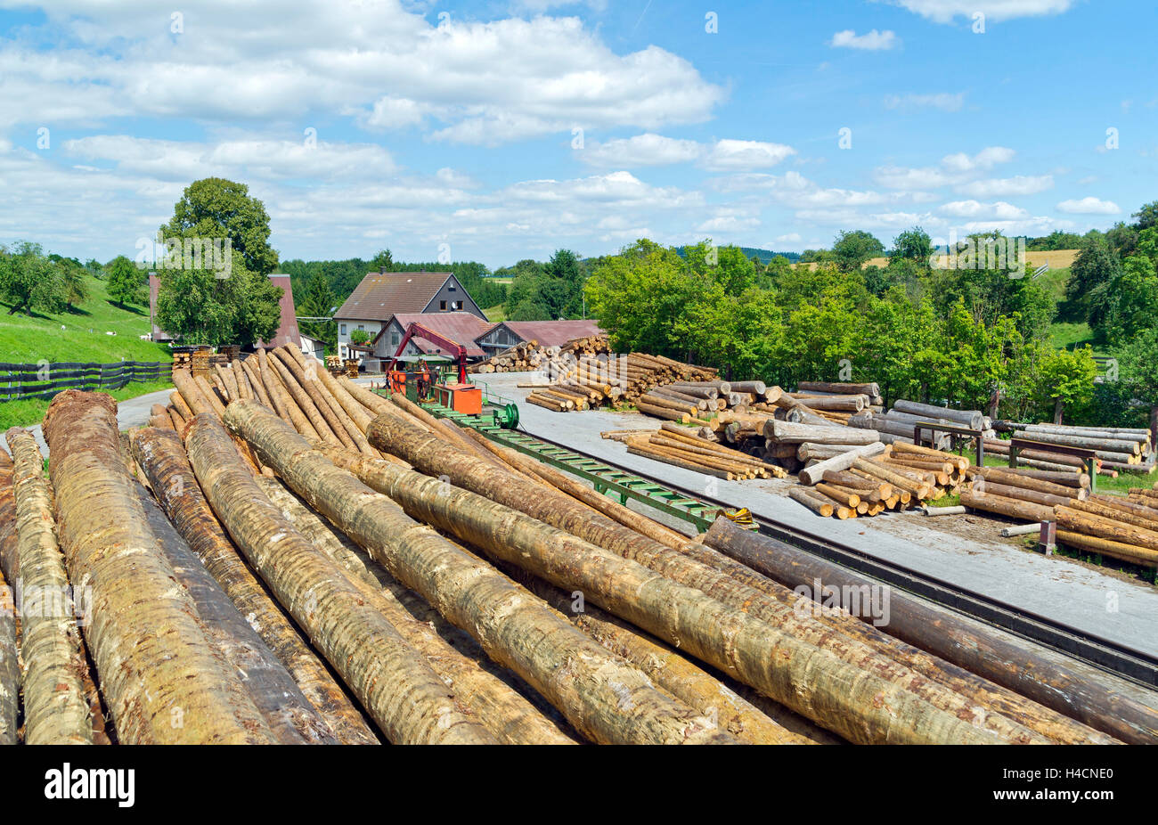 Germany, Baden-Wurttemberg, Sulz in the Neckar-Bergfelden, lower mill ...