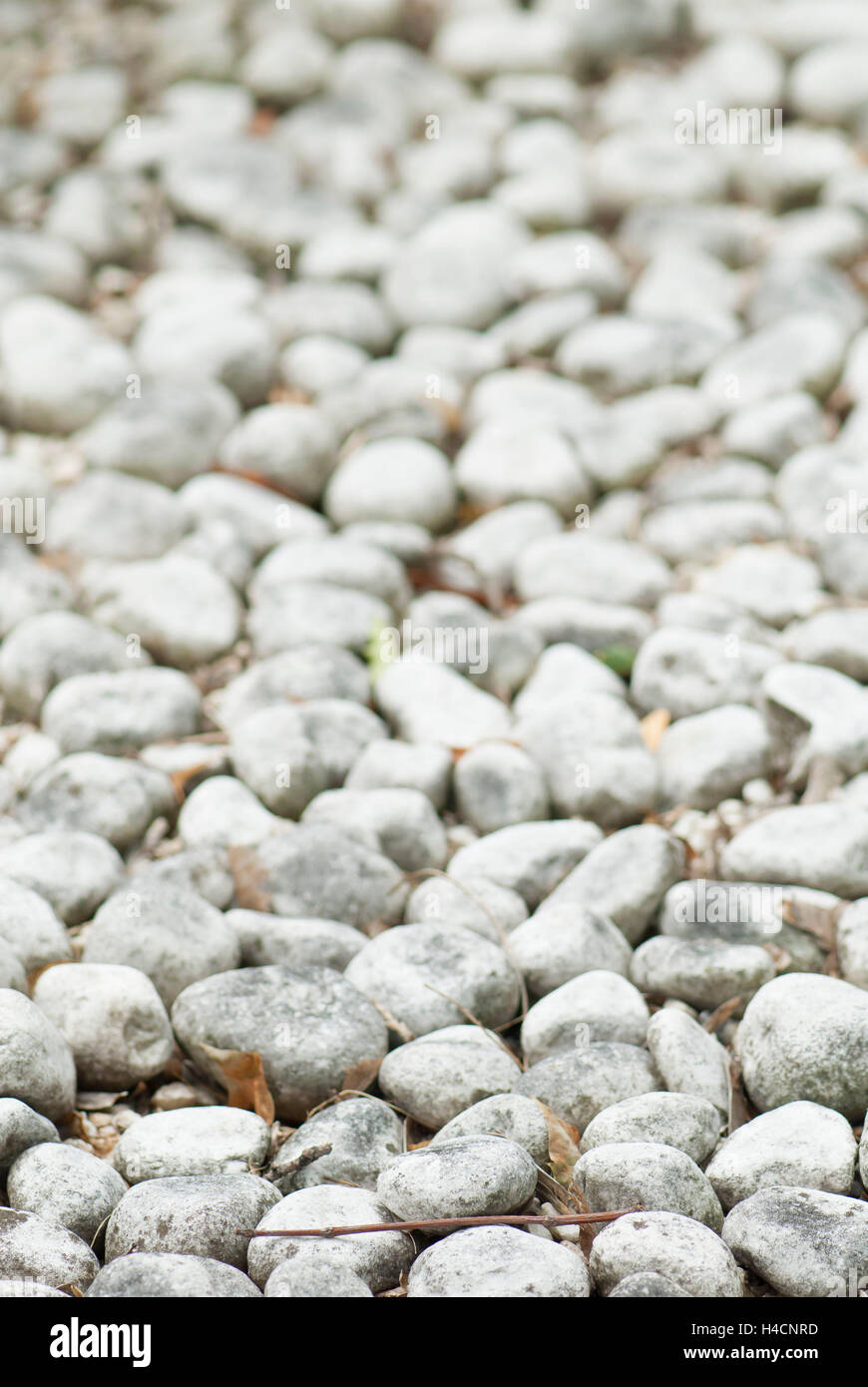 Pebbles, detailed view Stock Photo - Alamy