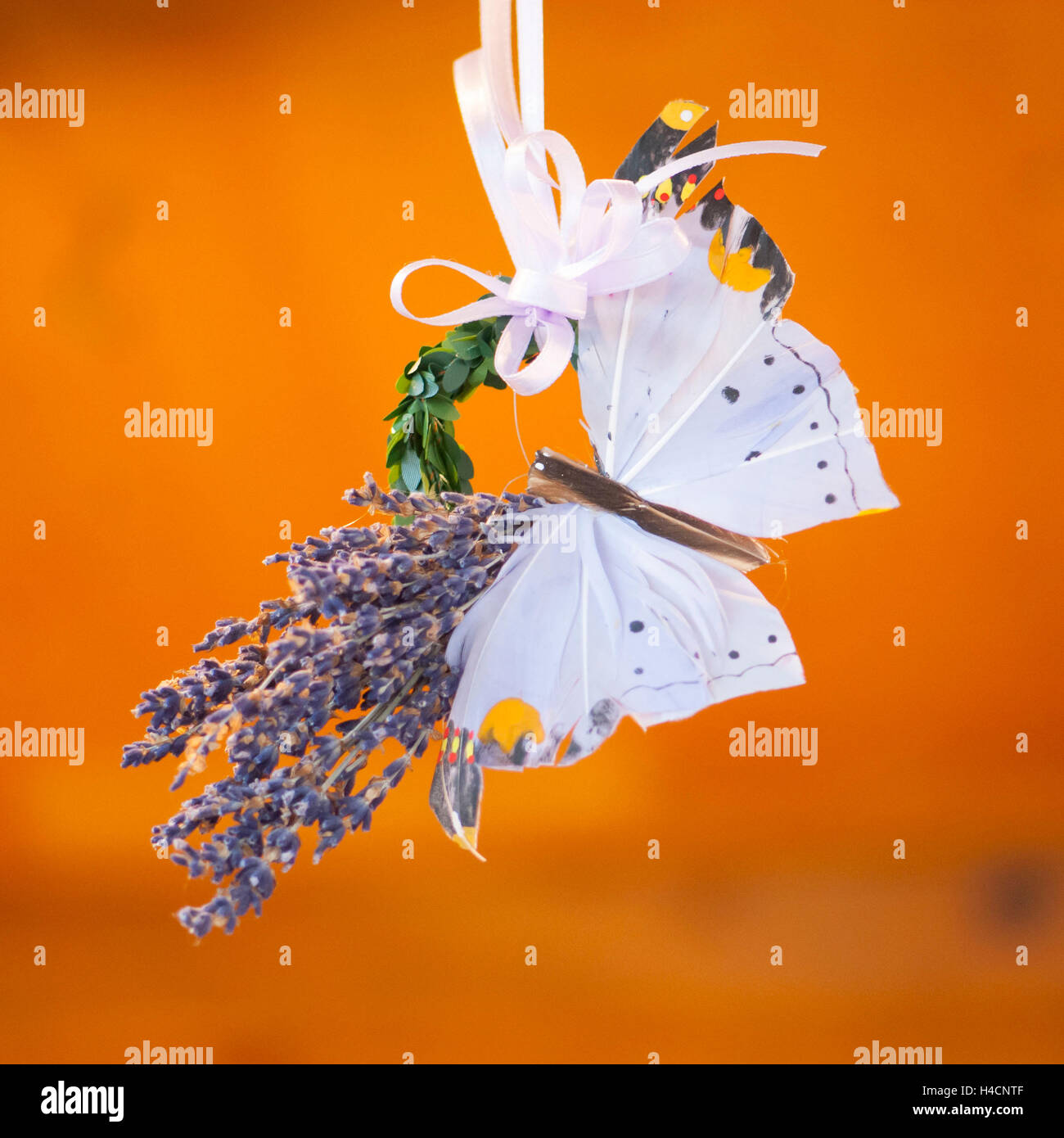 Butterfly Nest High Resolution Stock Photography and Images - Alamy