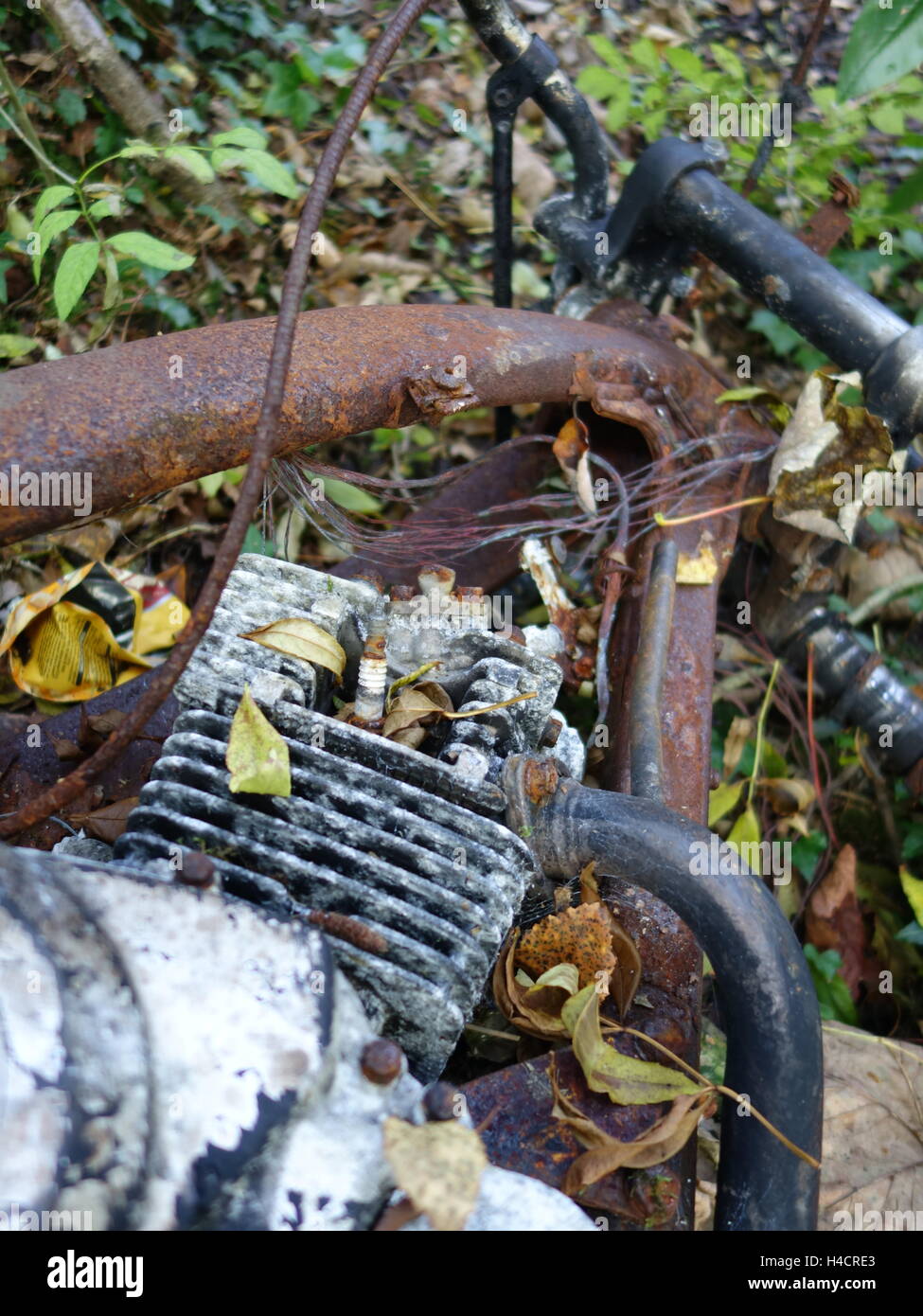 A burnt out rusty motorcycle in the woods Stock Photo - Alamy