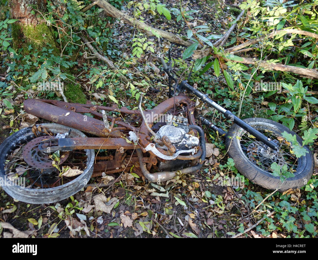 A burnt out rusty motorcycle in the woods Stock Photo - Alamy