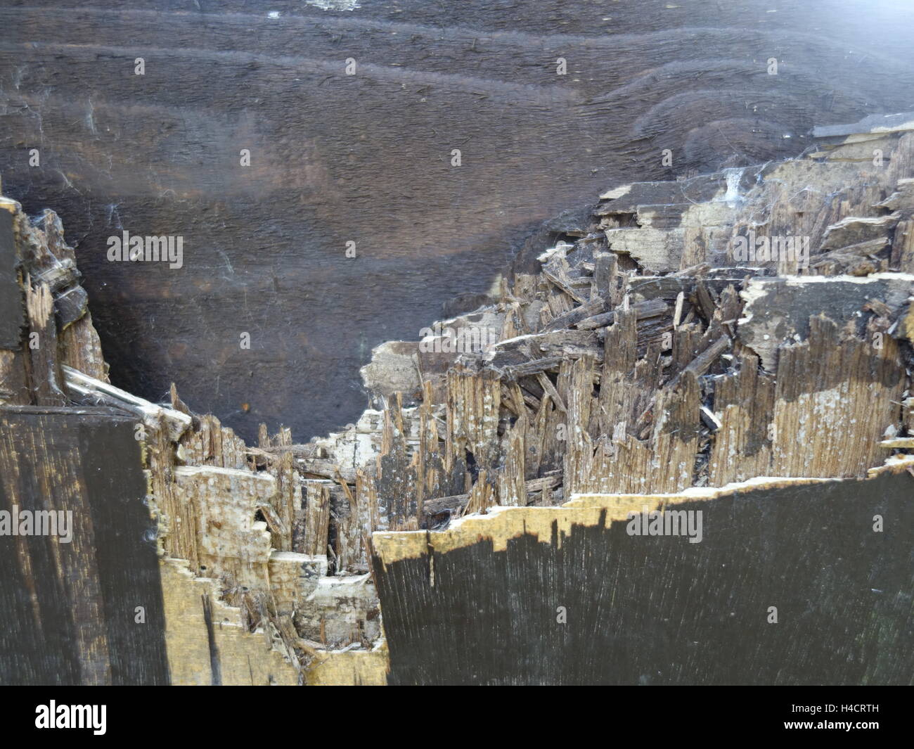 Torn wood hi-res stock photography and images - Alamy