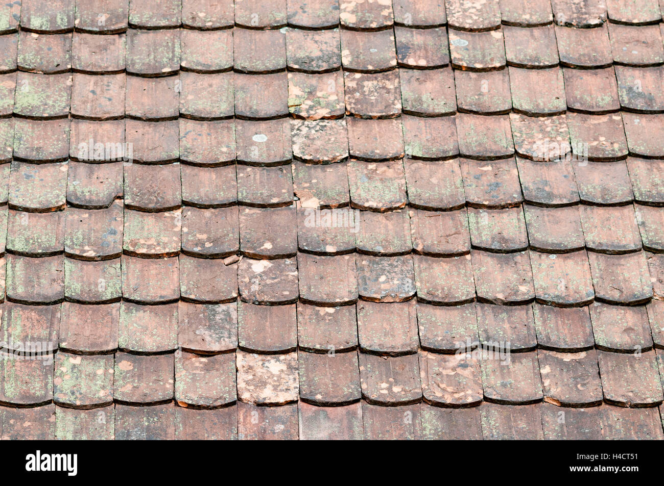 Old roofing tiles of a barn Stock Photo - Alamy