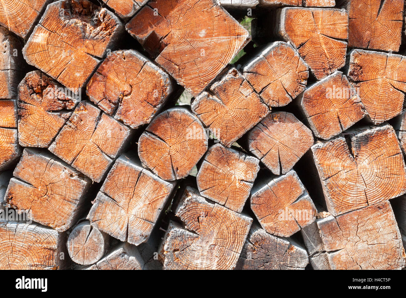 Kantha zer hi-res stock photography and images - Alamy