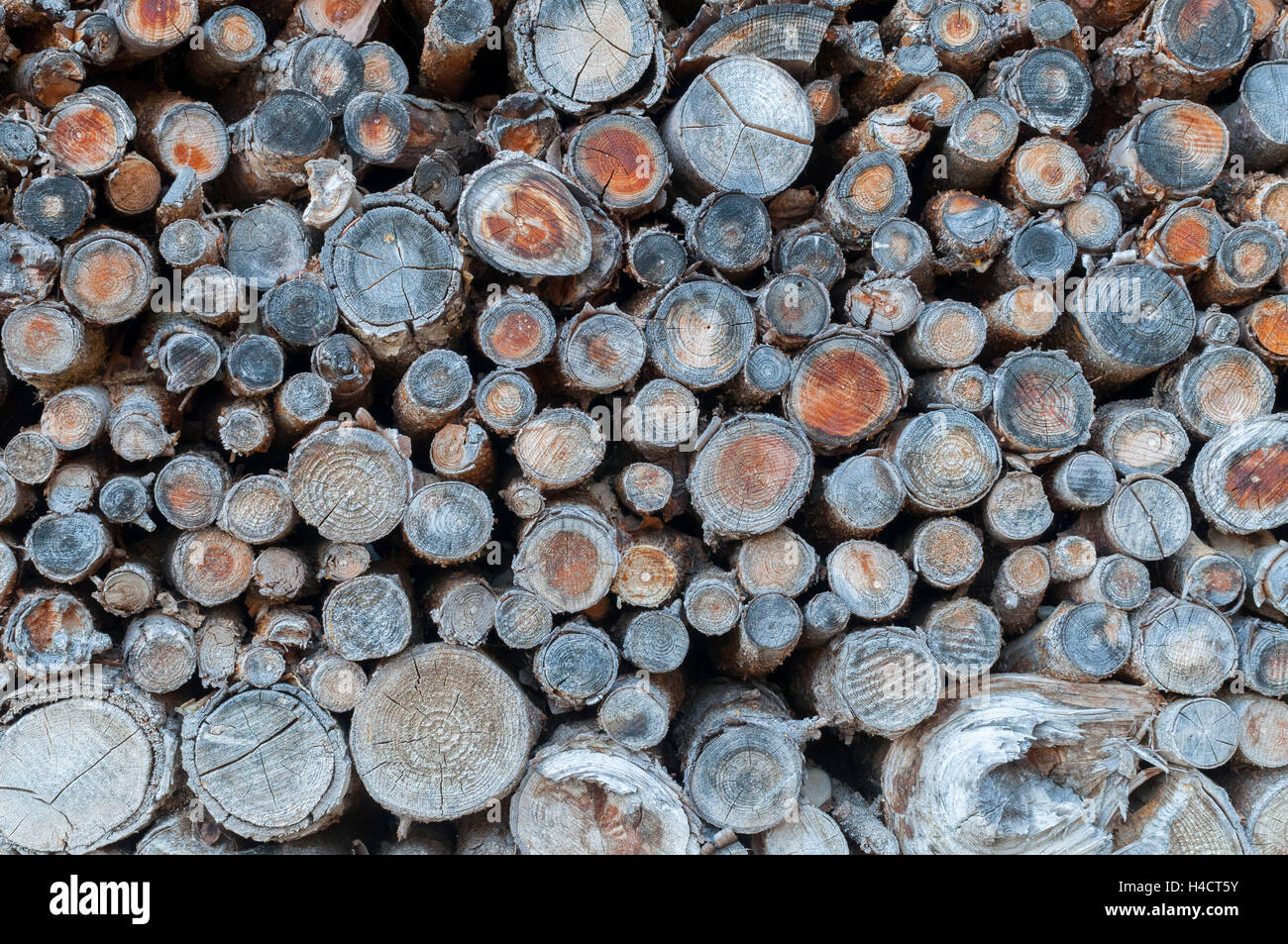 roundwood in stack Stock Photo - Alamy