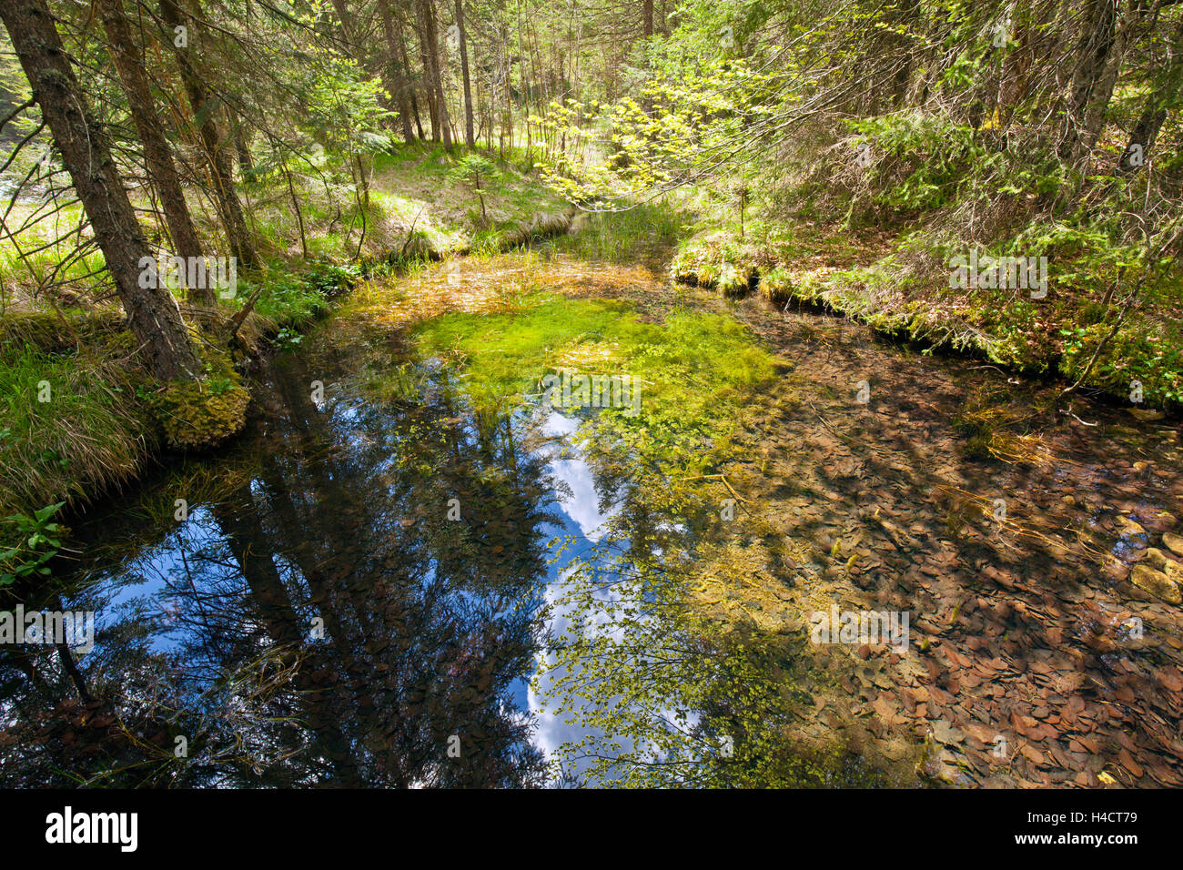 Pool reflexes hi-res stock photography and images - Alamy