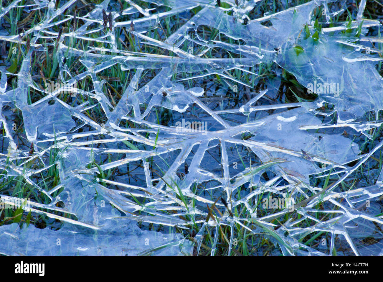 floating filigree ice Stock Photo - Alamy