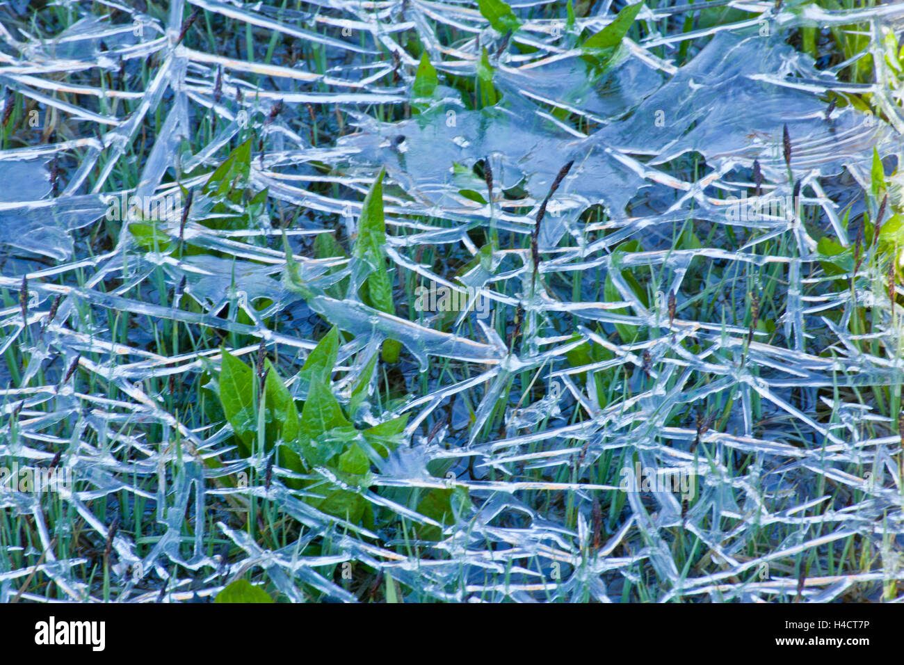floating filigree ice Stock Photo - Alamy
