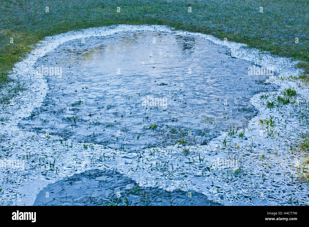 floating filigree ice Stock Photo - Alamy