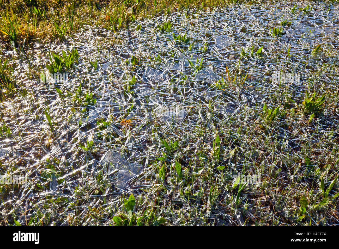 floating filigree ice Stock Photo - Alamy