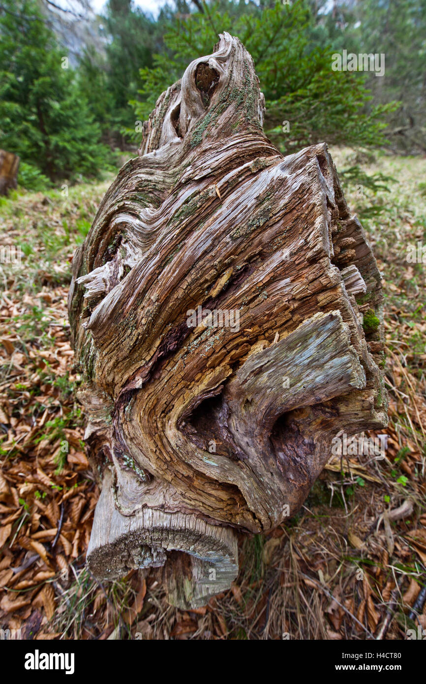 Skuriles deadwood hi-res stock photography and images - Alamy