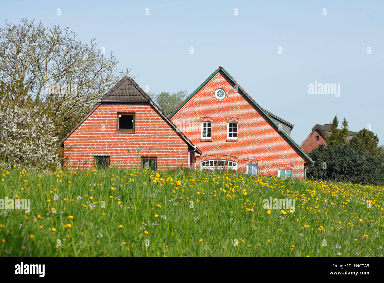 Farmhouse with flower meadow in the Bremen block country, Bremen ...