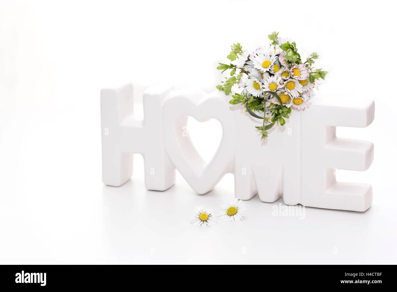 Still life, letters 'HOME' on white background, decorated with daisy ...