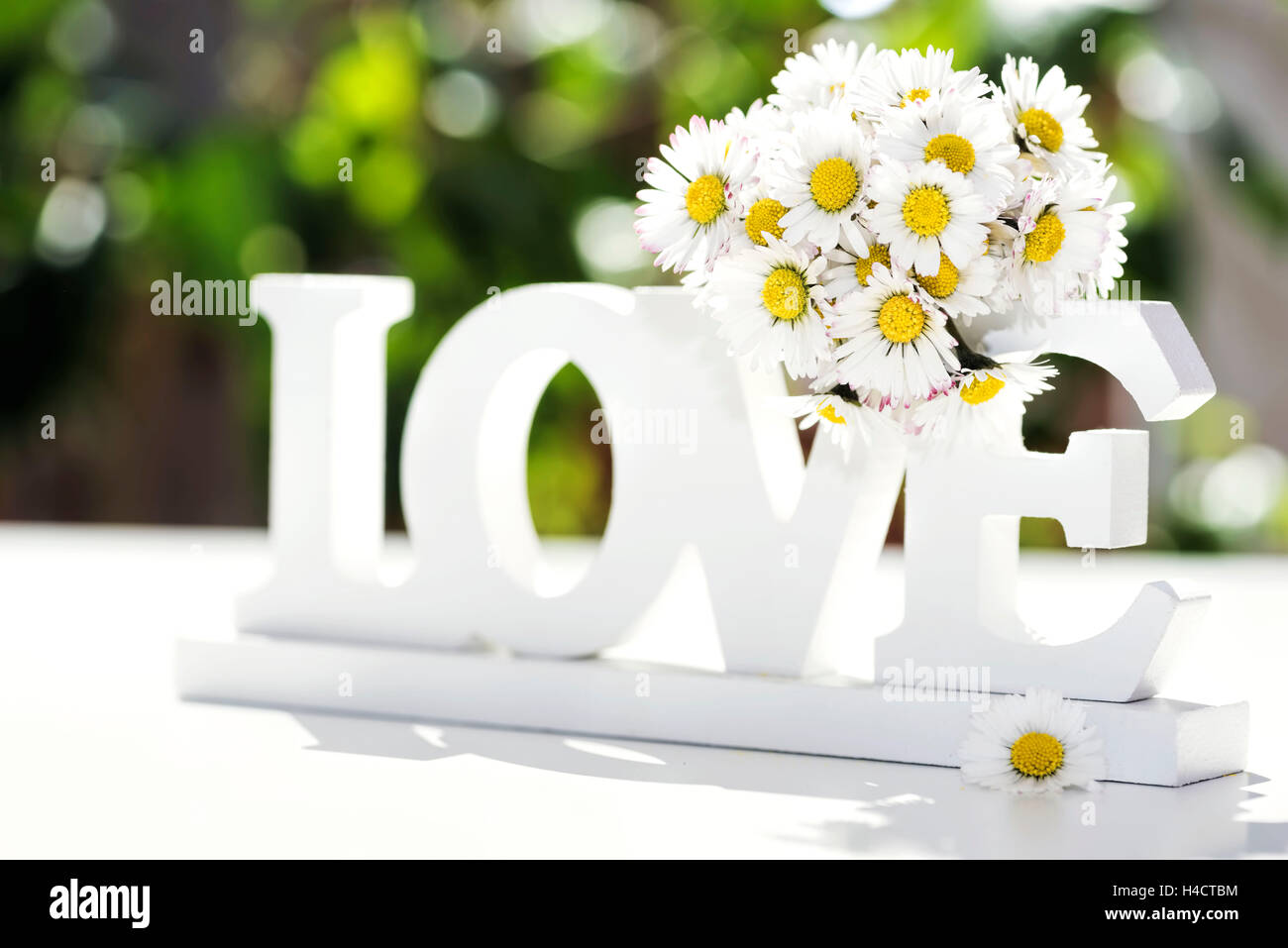 Still life, white letters 'LOVE' with daisy decorated Stock Photo - Alamy