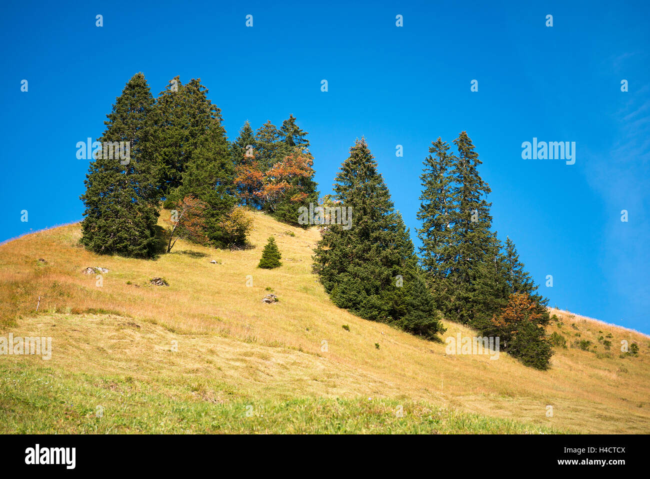 Frutigen hi-res stock photography and images - Alamy