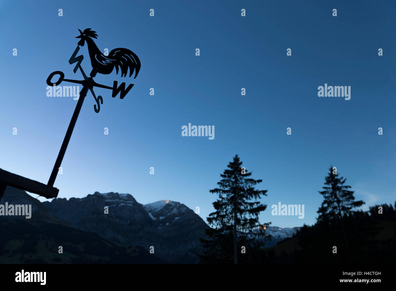 Weathercock High Resolution Stock Photography and Images - Alamy