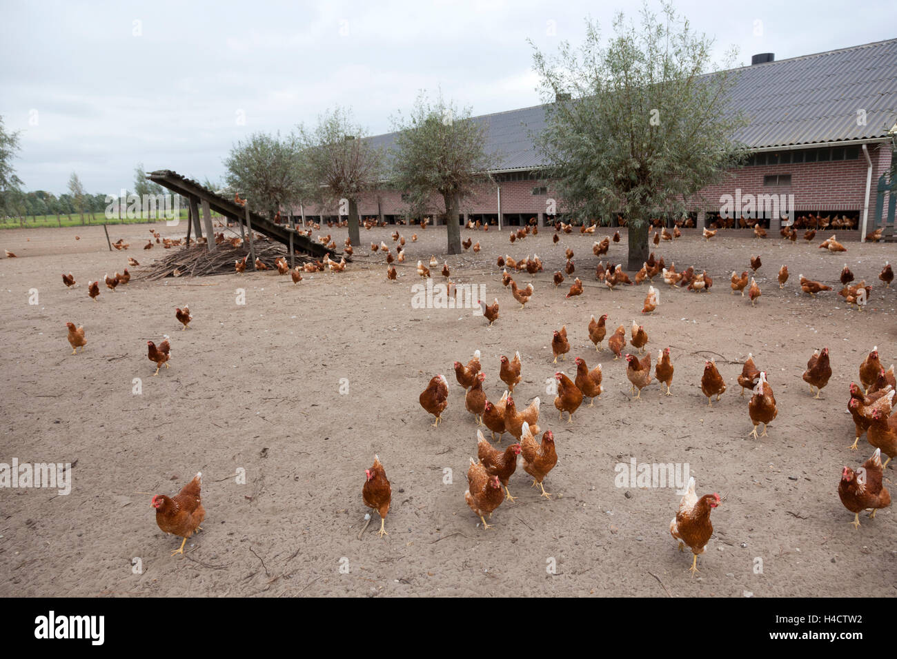 Poultry Farm Stock Photos & Poultry Farm Stock Images - Alamy