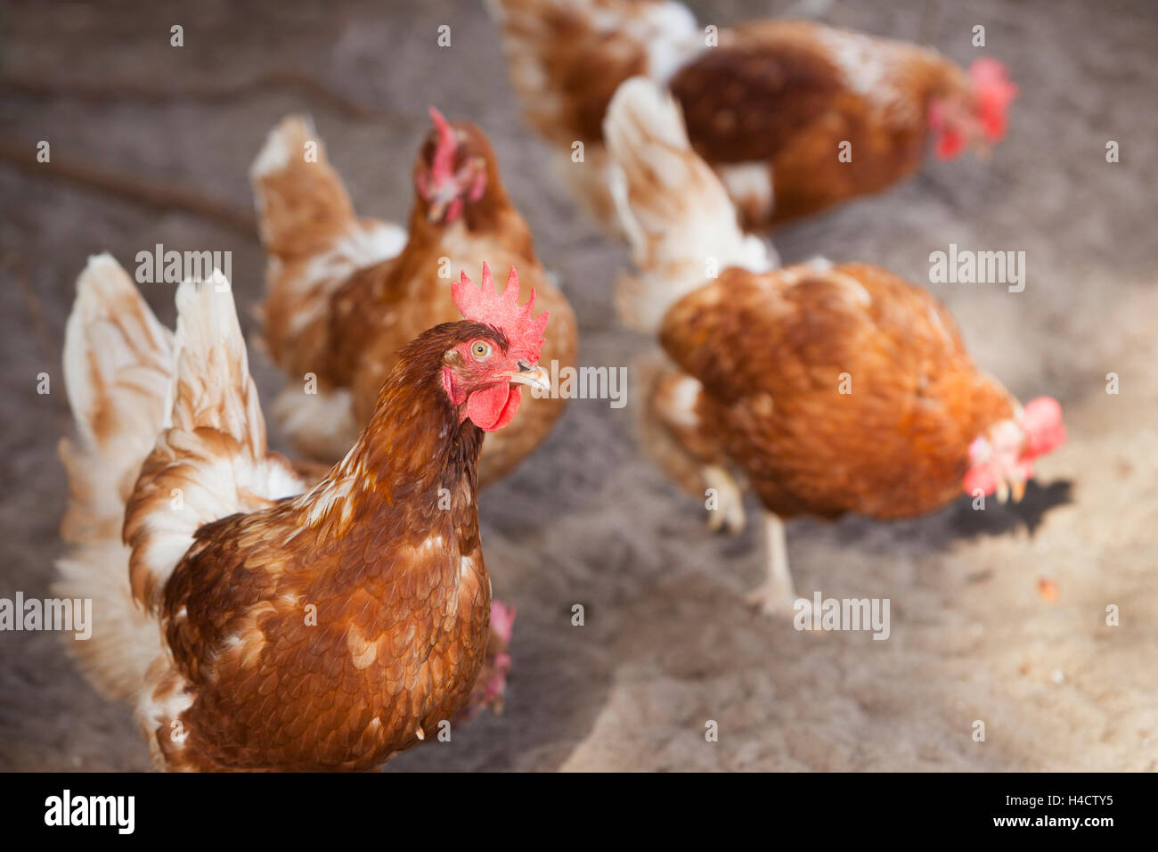 Outside soil hi-res stock photography and images - Alamy