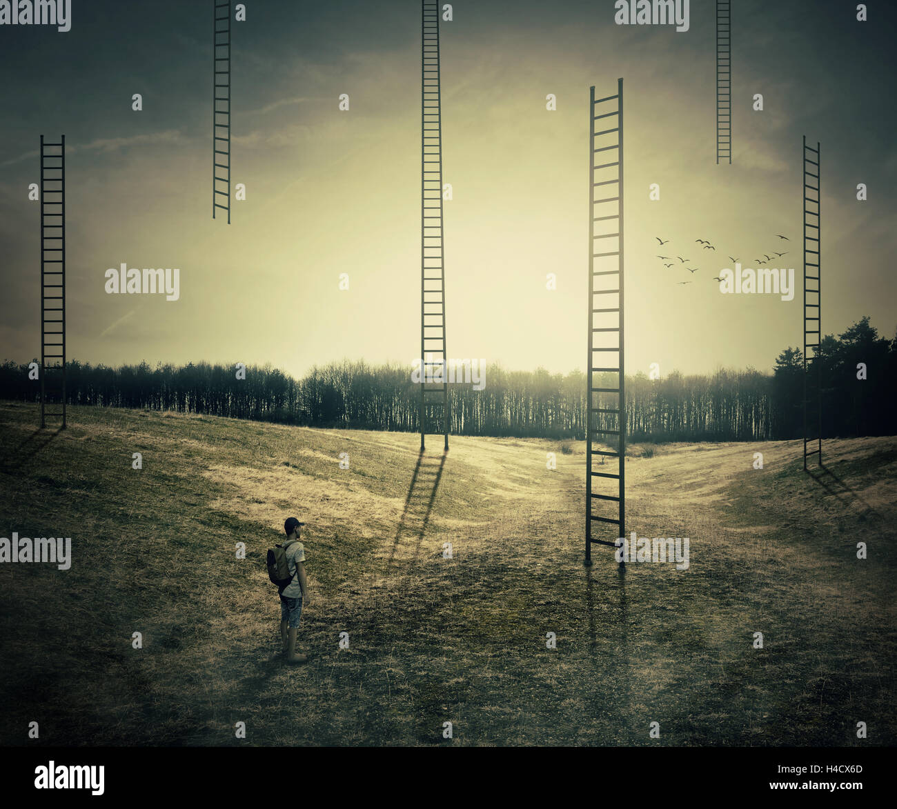 Ladder metaphor hi-res stock photography and images - Alamy