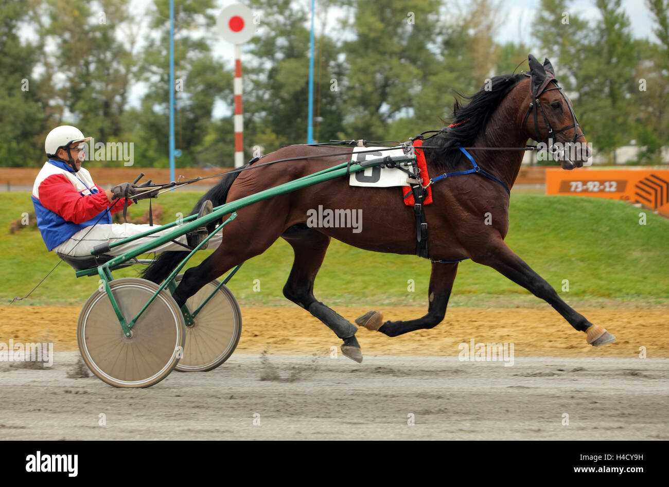 Harnessed chariot hi-res stock photography and images - Alamy